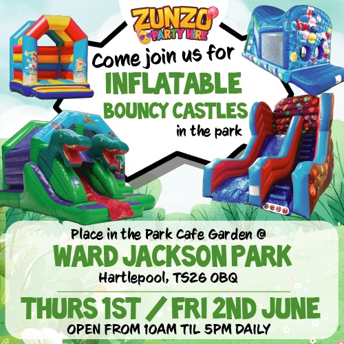 Inflatable Fun Day Event - North East Bouncy Castle Inflatable Hire, DJ ...